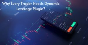 Why Every Trader Needs Dynamic Leverage Plugin?