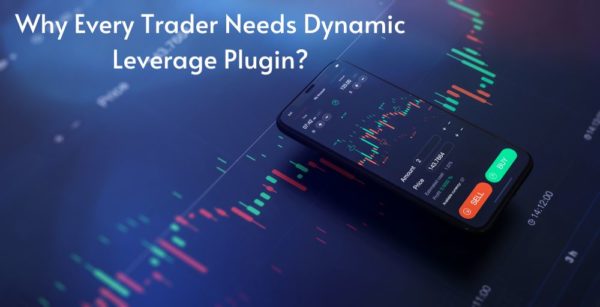 Why Every Trader Needs Dynamic Leverage Plugin?